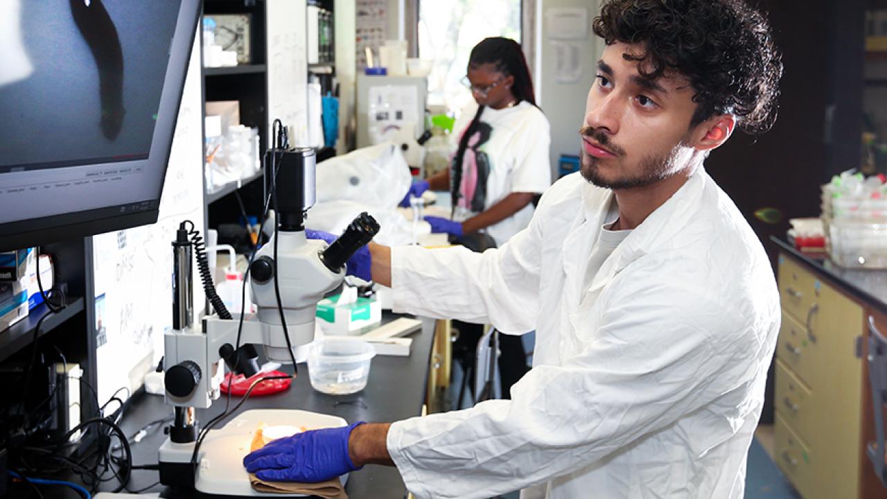 Barry Hoopengardner, Ph.D | Central