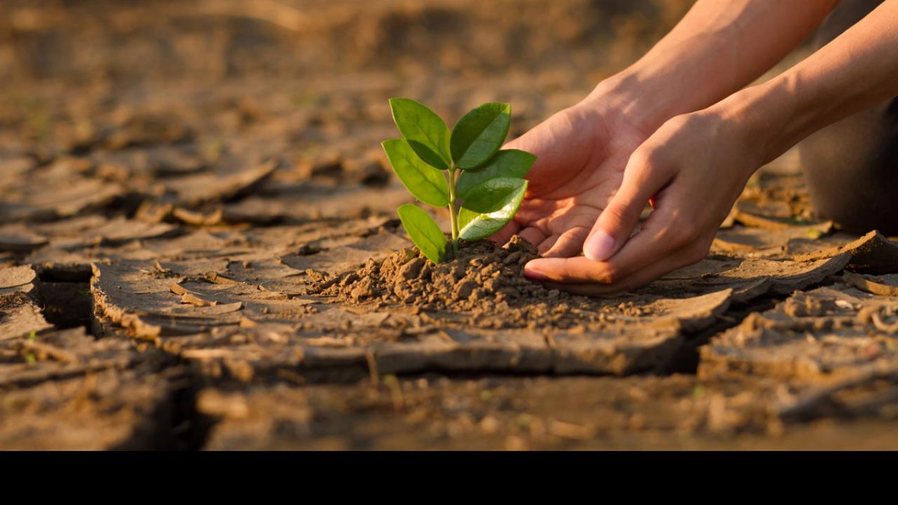 Climate Change Studies, BA | Central