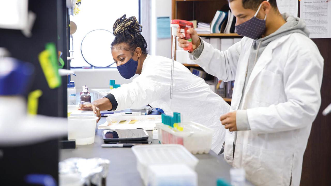 Biomolecular Sciences, MS | Central Connecticut State University